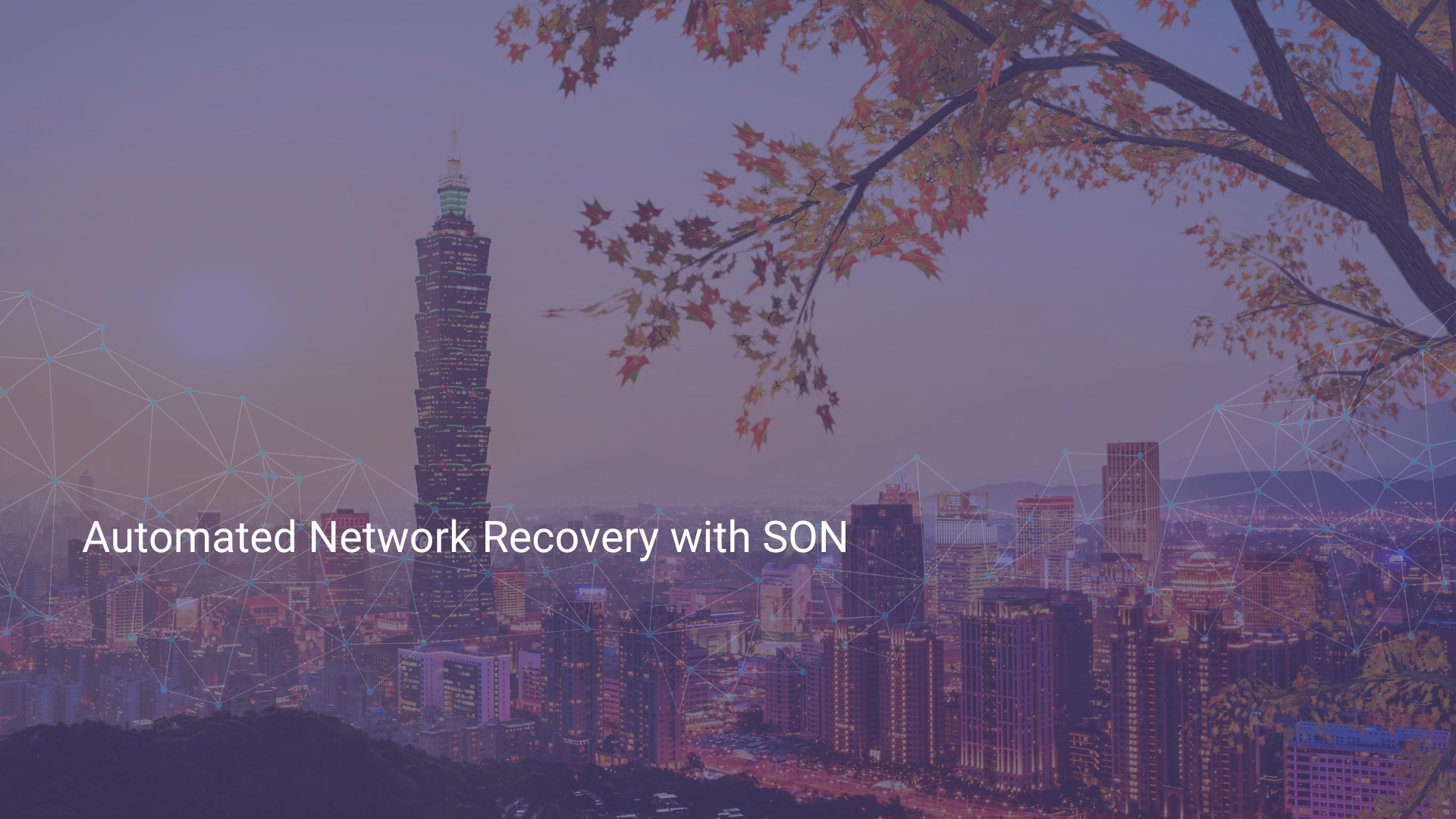 Building Disaster Resilient Telecom With Son Lessons From Taiwans